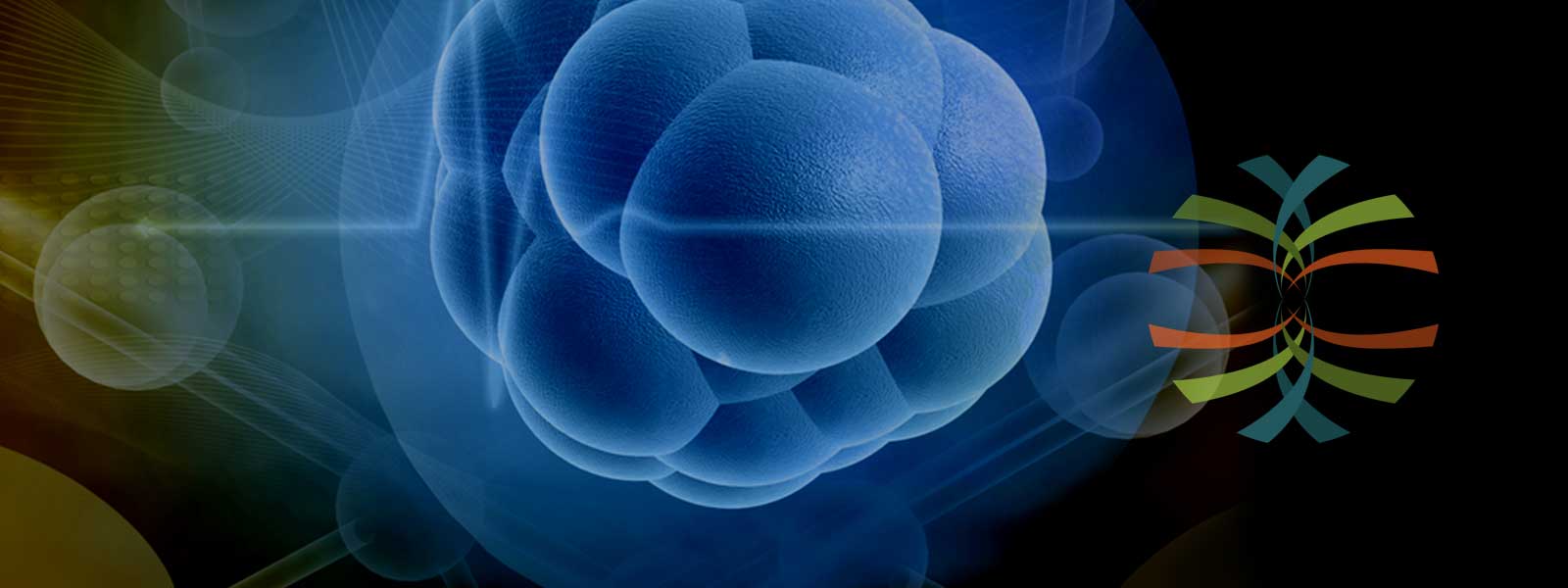 GIOSTAR Stem Cell Hospital at Global Locations, INDIA, USA, UAE